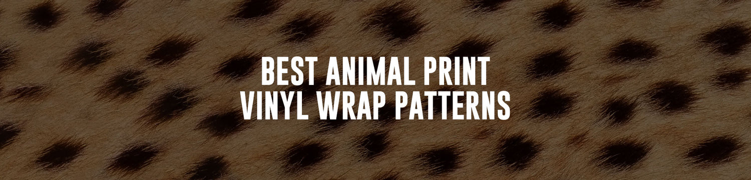 Animal Print Vinyl Wraps | Alwan Wraps Blog
